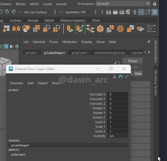 [Maya]Display-Viewport